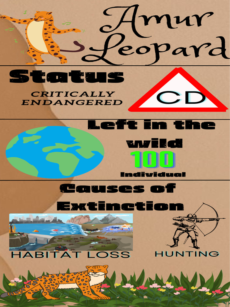 Infographic Posters Amur Leopards | PDF