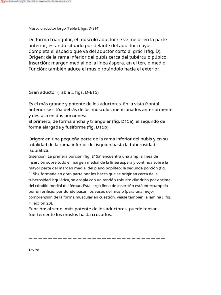 Struttura Uomo - Only Text en (100-200) .En - Es | PDF | La columna ...