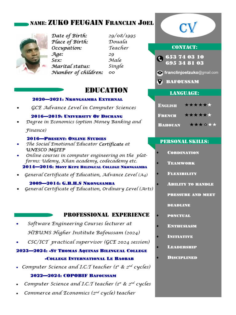 My CV 2024 | PDF | Computing