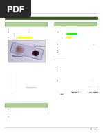 Malaria Parasite Counting | PDF | Malaria | White Blood Cell