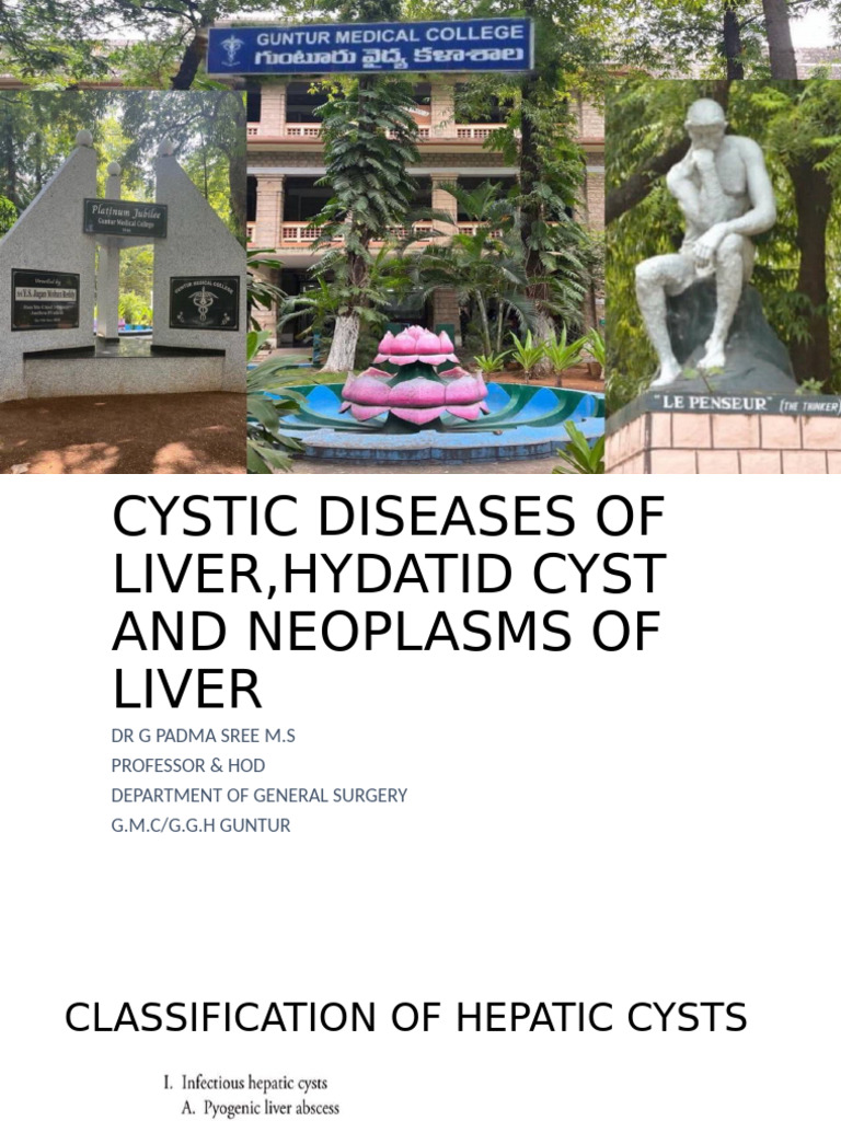 Cystic and Malignent Sol Liver | PDF | Liver | Diseases And Disorders