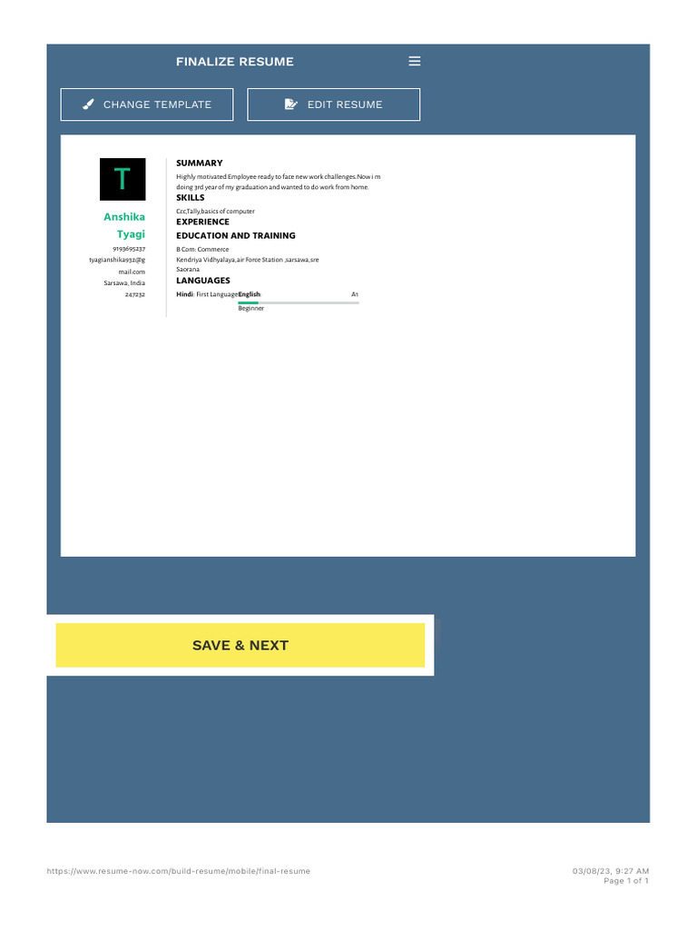 Finalize Resume - Resume Now | PDF