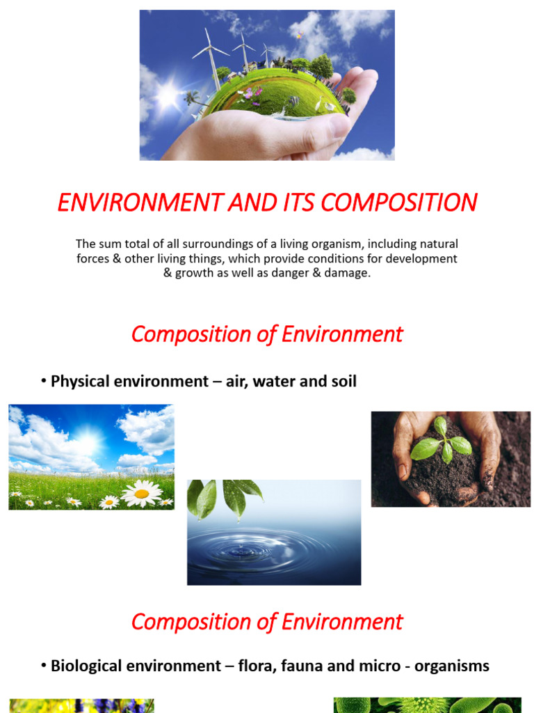Understanding Environmental Composition and Sustainability | PDF ...