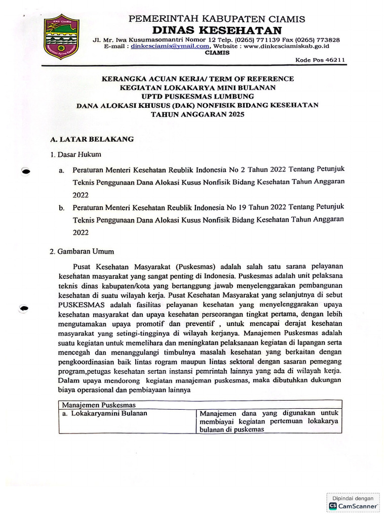 Tor Dan Rab Pelaksanaan Lokakarya Mini Bulanan Puskesmas | PDF