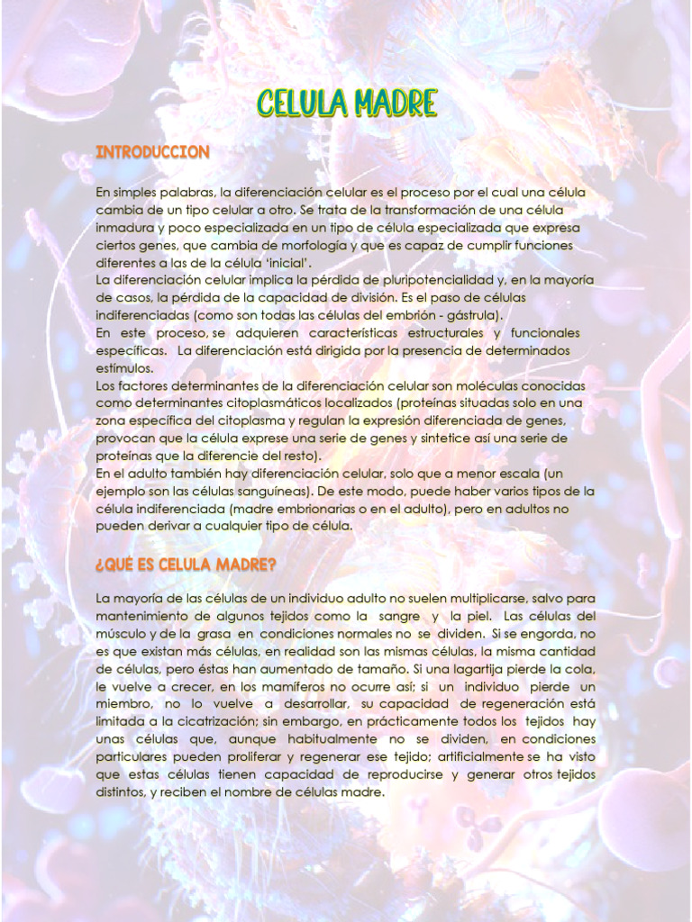 CDN V1.udocz Assets - comuploadsbookraw274014CELULA MADRE 2.pdfresponse Content Disposition ...