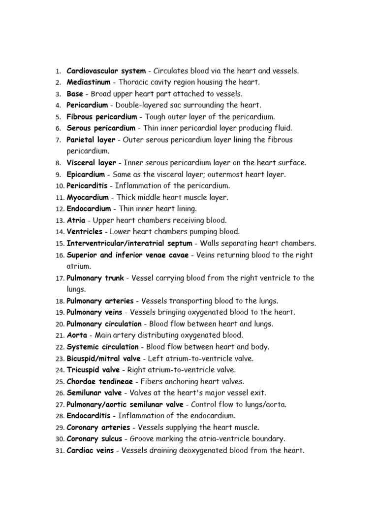 Cardiovascular System Terminology Guide | PDF | Heart | Heart Valve
