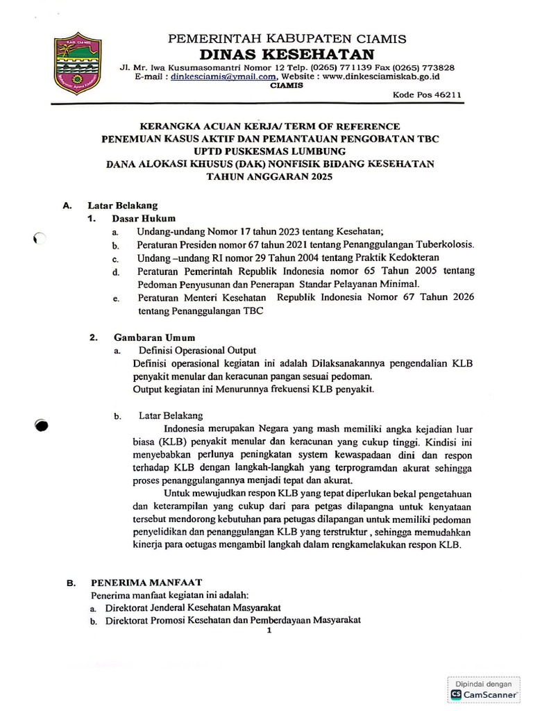 TOR DAN RAB PENEMUAN KASUS AKTIF DAN PEMANTAUAN PENGOBATAN TBC ...