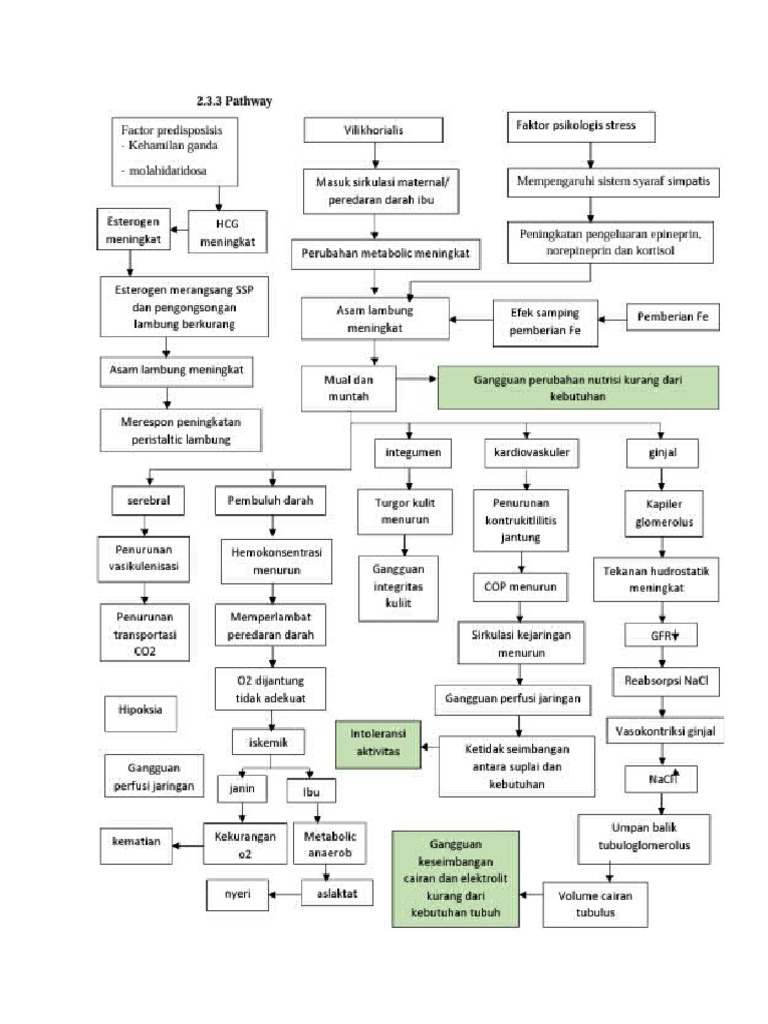 WOC Hiperemis Gravidarum | PDF