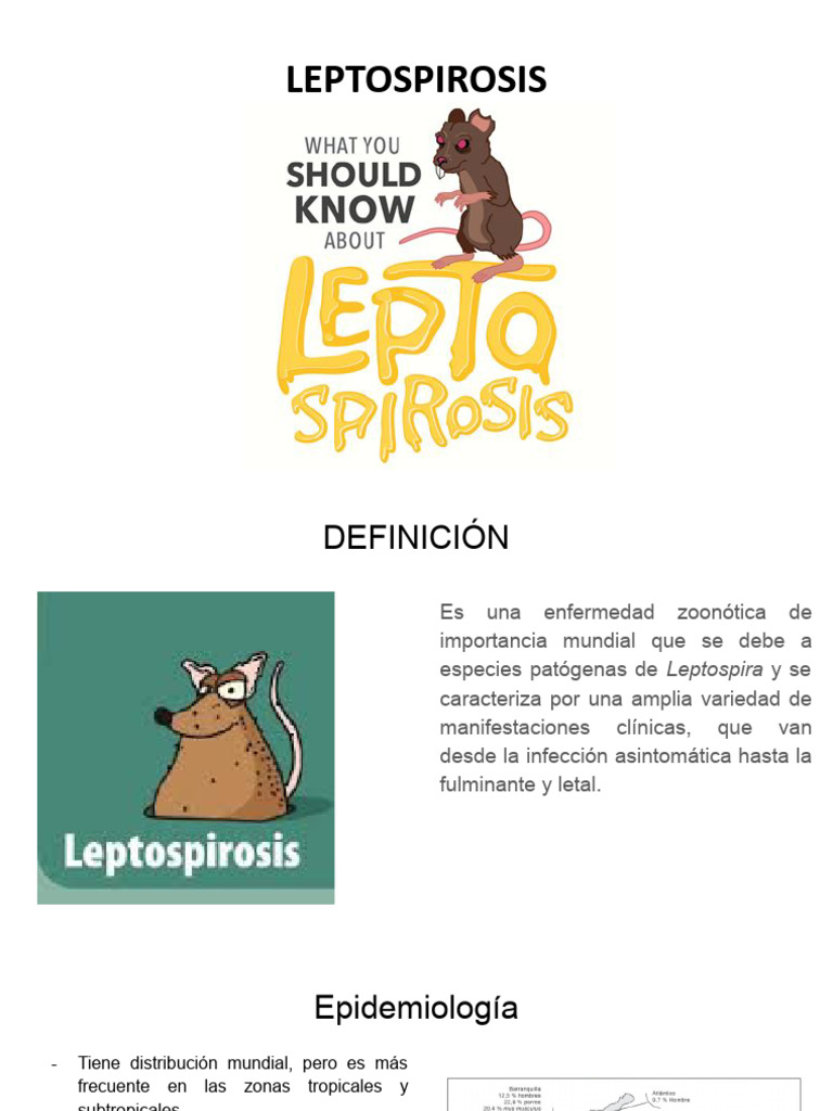 Leptospirosis: Epidemiología y Clínica | PDF | Medicina CLINICA ...