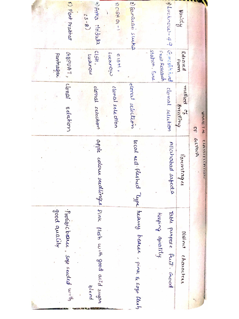 RH18-47 Varietal Classification of Guava | PDF