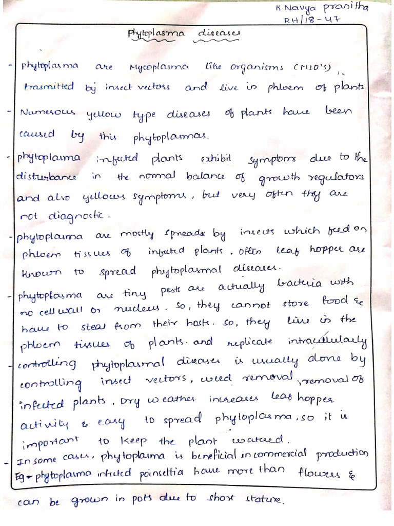 RH18-47 Phytoplasma and Ganodermal Diseases | PDF