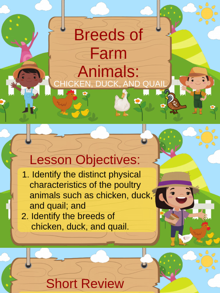 Week 4 | PDF | Chicken | Poultry