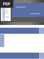 Signo de Homans y Edema Venoso | PDF | Angiología | Rtt