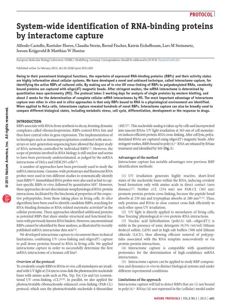 RNA-Binding Protein Identification Protocol | PDF | Proteins | Rna