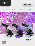 Lions Clubs International Organization Brand Guidelines en | PDF | Brand | Logos