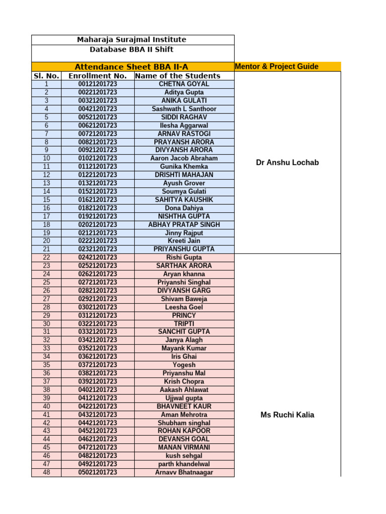 Mentor Allocation Jan-June 2024 | PDF
