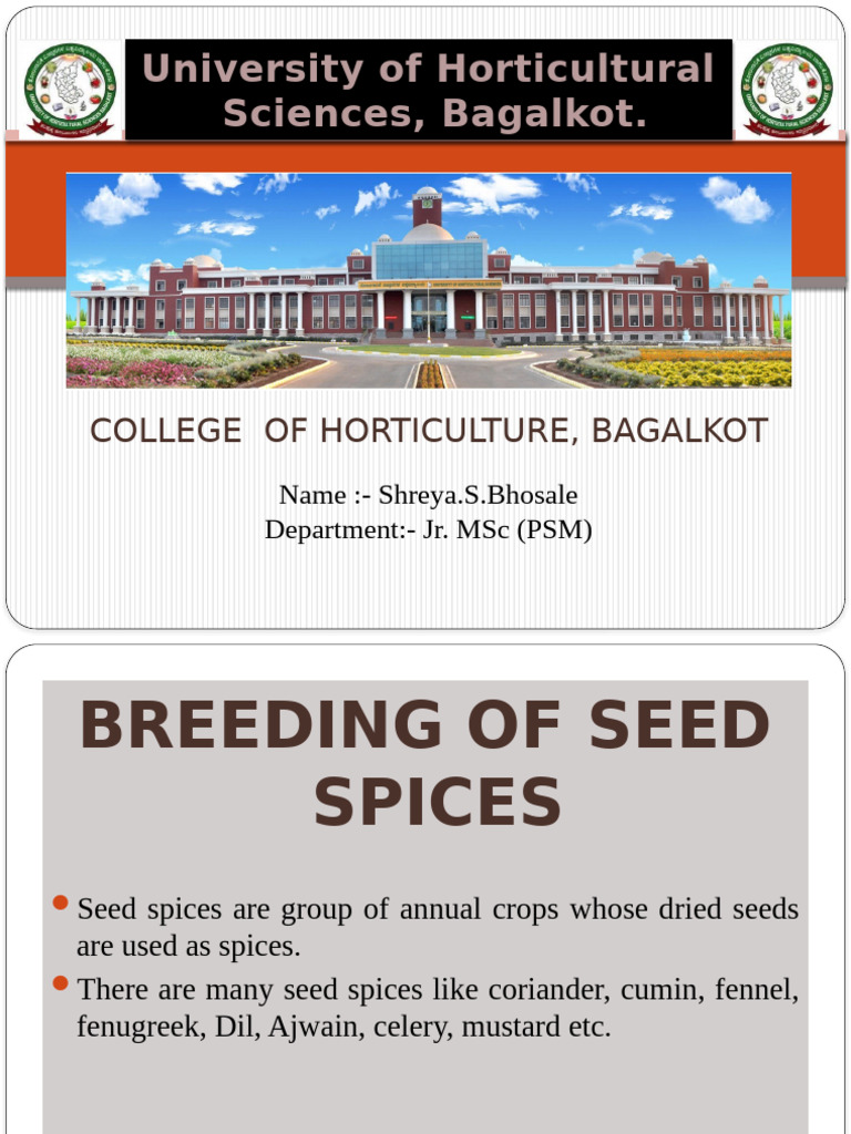 Breeding and Cultivation of Seed Spices | PDF | Fennel | Coriander