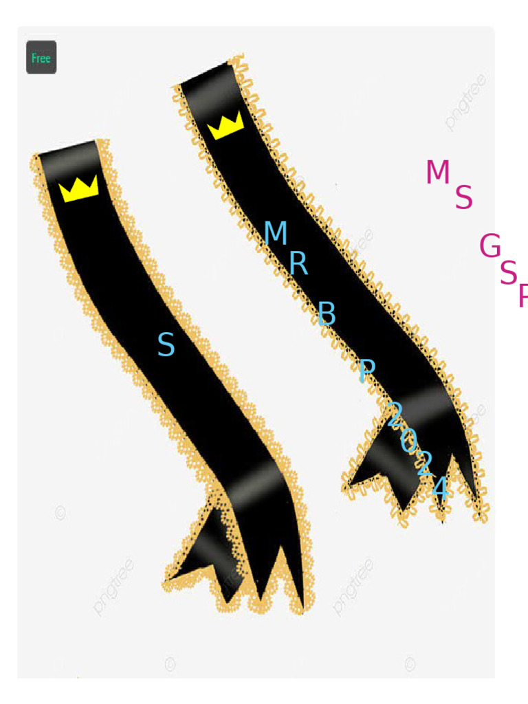 Sash MR and Miss | PDF