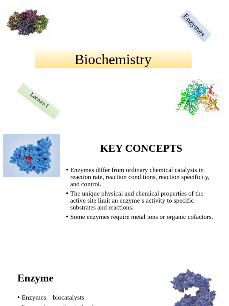 Lecture 1 BC | PDF | Enzyme | Cofactor (Biochemistry)