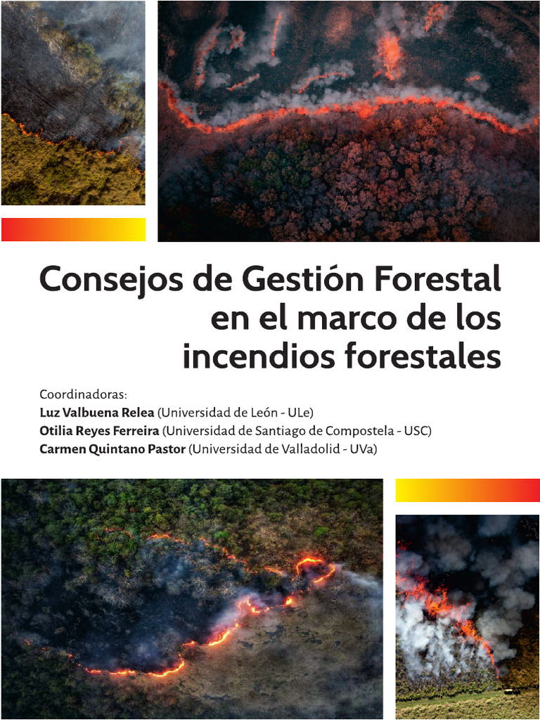 Consejos Gestion Forestal Marco Incendios | PDF | Fuego fatuo