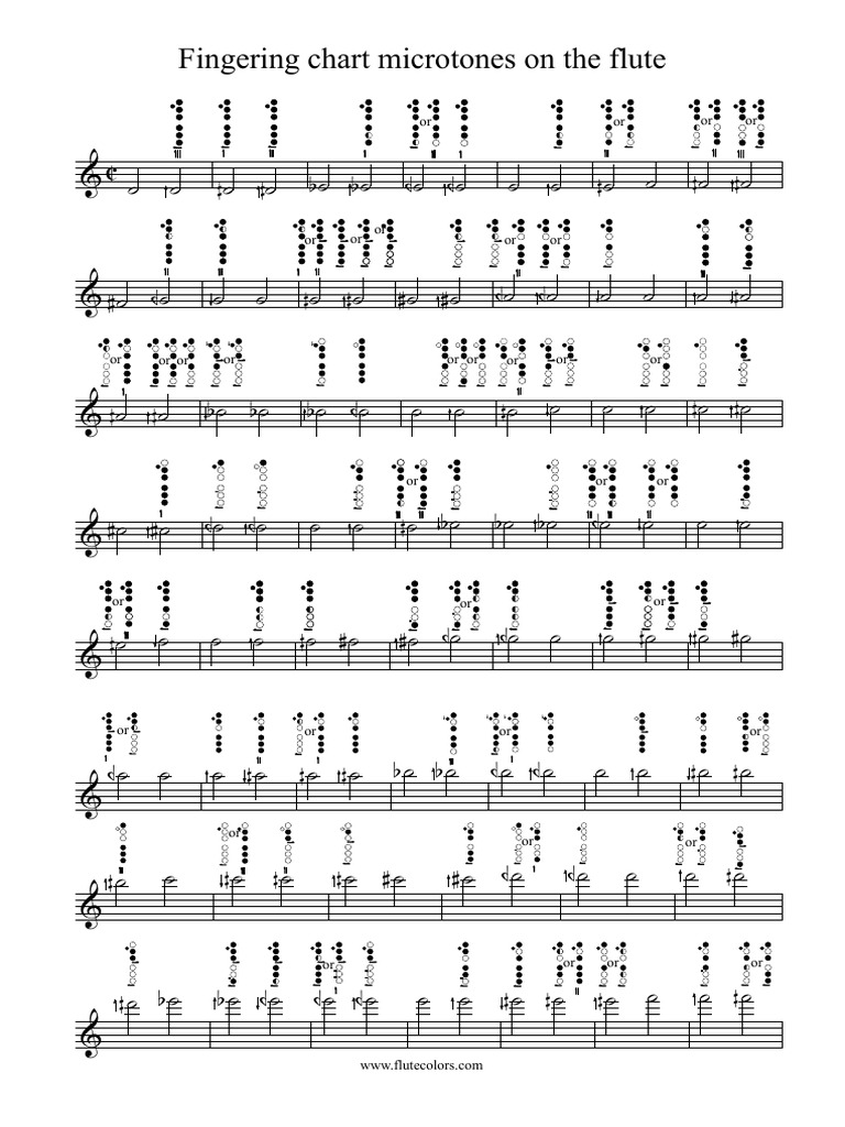 Microtones Fingerings Full Score | PDF