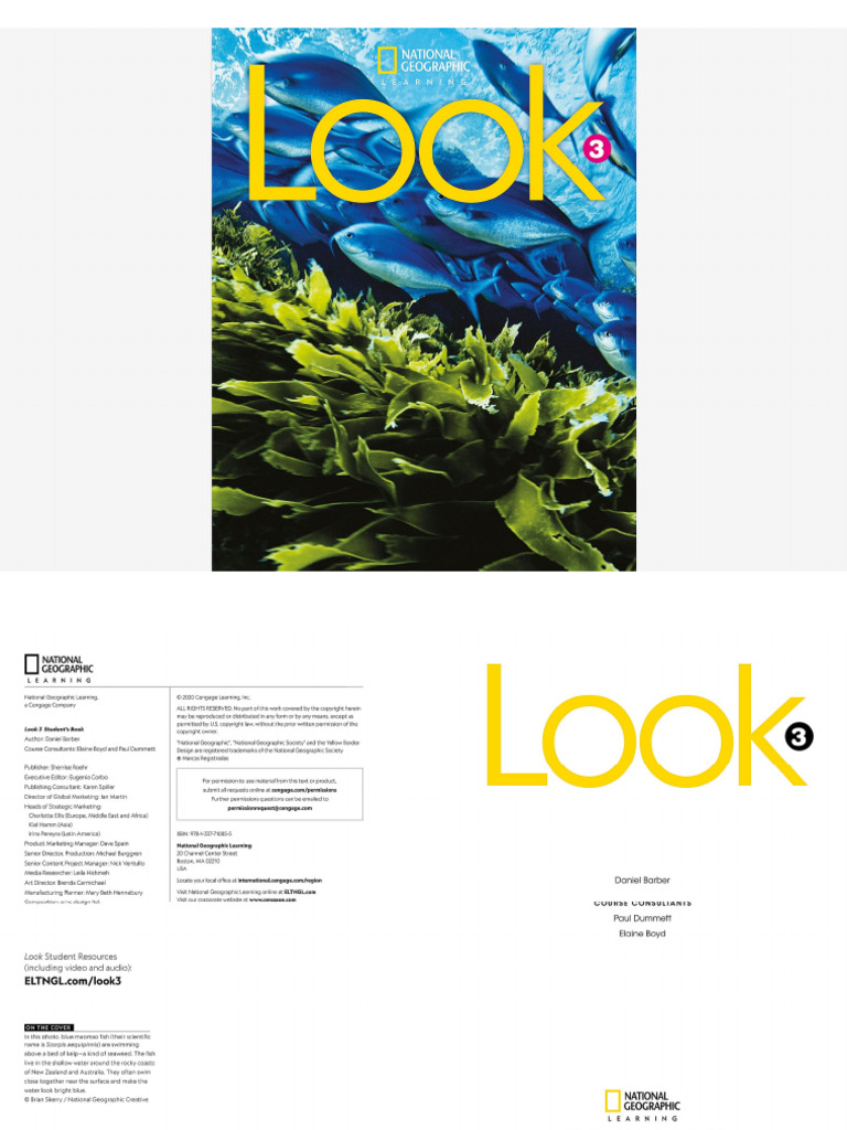 Look American 3 Student Book | PDF