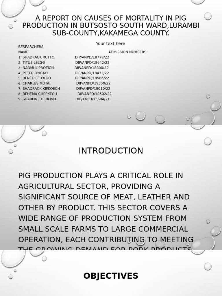 A Report On Causes of Mortality in Pig | PDF | Mortality Rate | Health Care