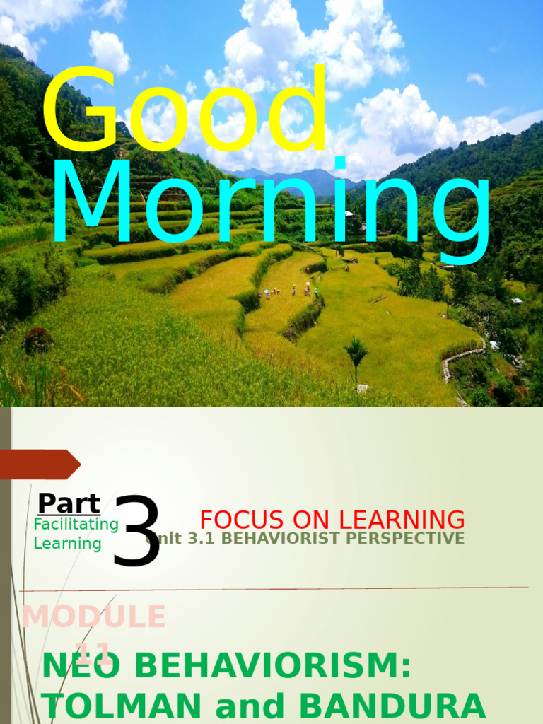 Neo Behaviorism | PDF | Behaviorism | Learning