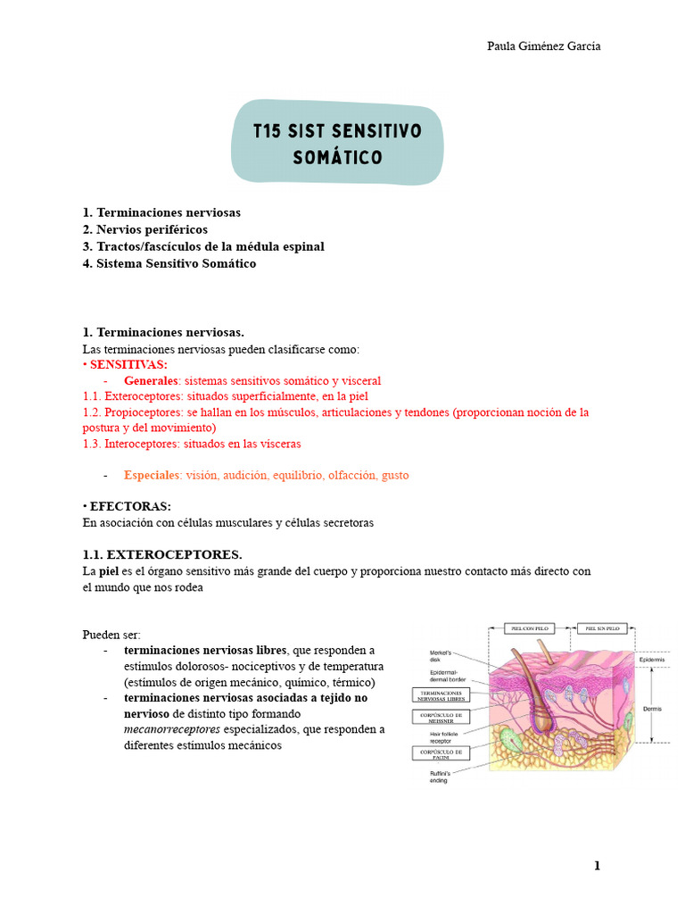 T15 F Sist Sensitvo Somático 2 | PDF | Dolor | Oído