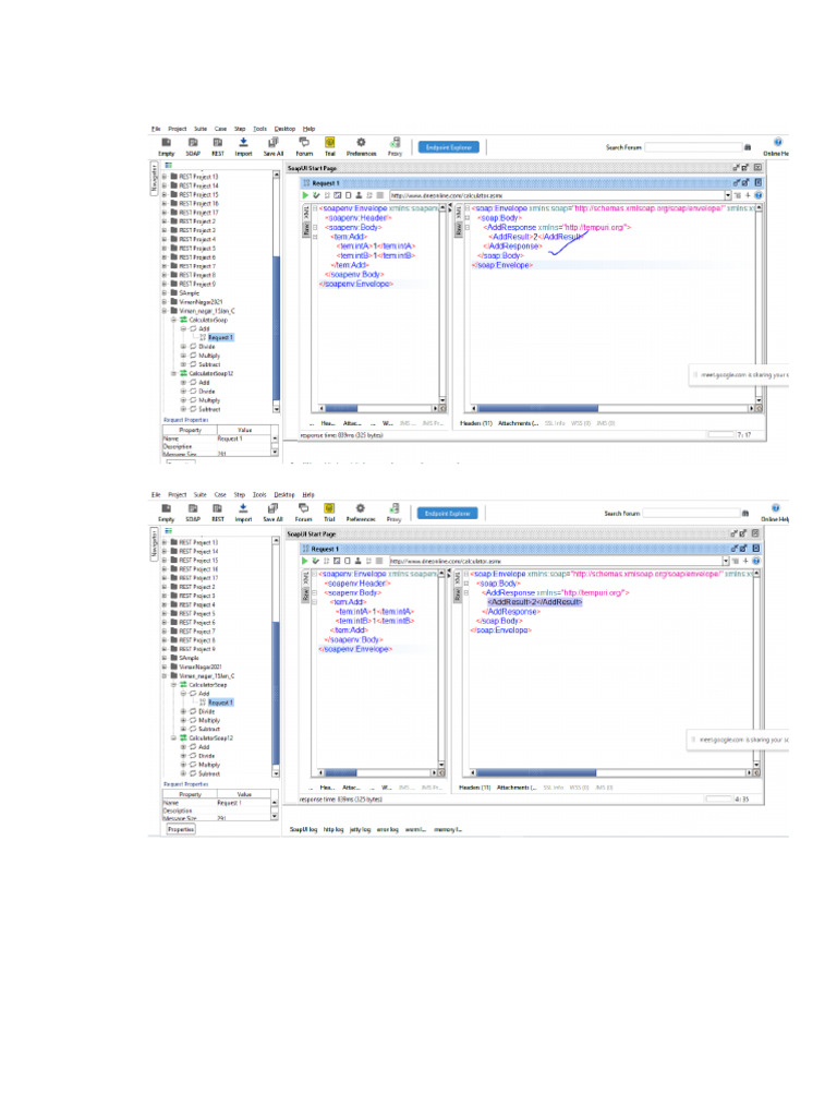 Validating SOAP Response Pass | PDF