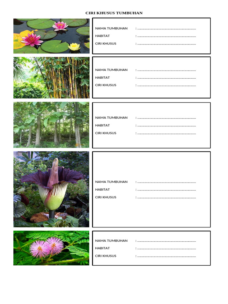 Ciri Khusus Tumbuhan | PDF