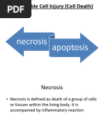 Understanding Necrosis and Gangrene | PDF | Necrosis | Cell (Biology)
