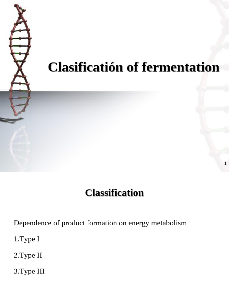 Fermentation Types Trophophase And Idiophase Pdf Fermentation