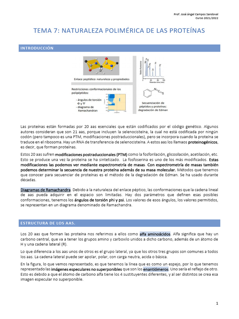 Wuolah Free Tema 7 Gulag Free | PDF | Péptido | Chiralidad (Química)
