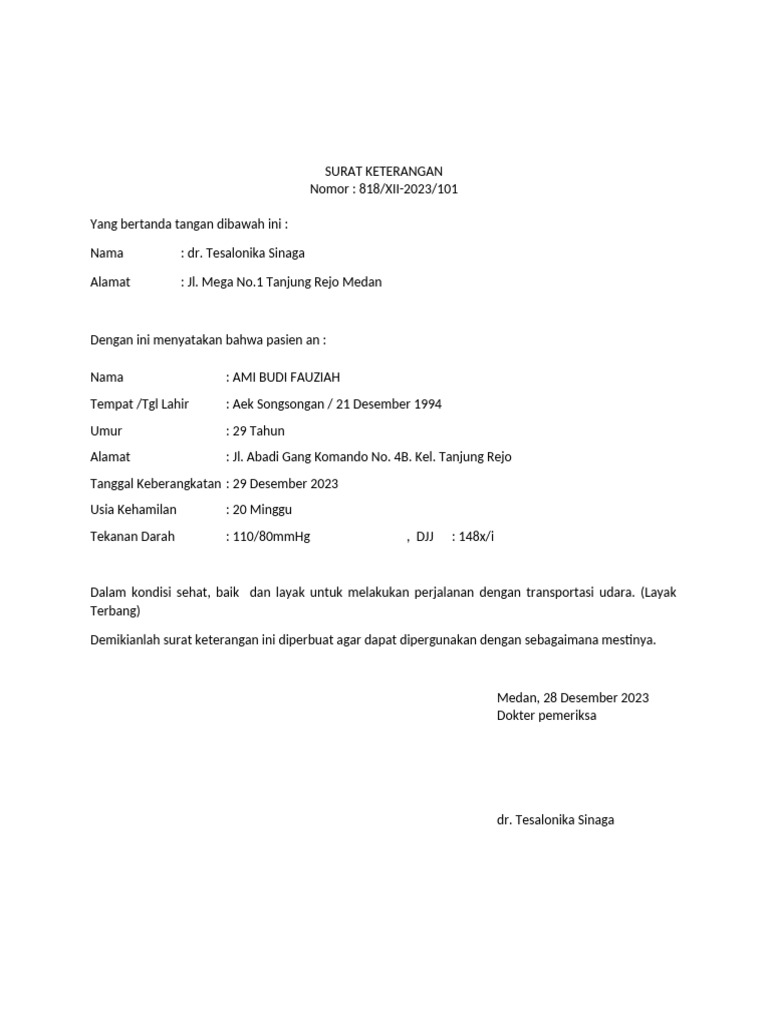 Surat Keterangan Layak Terbang | PDF
