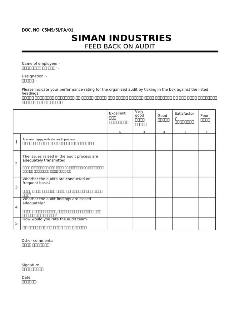 Feedback On Audit | PDF