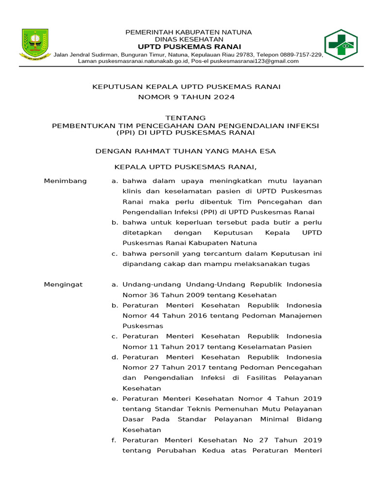SK FINAL TIM PPI Puskesmas Ranai 2024 | PDF