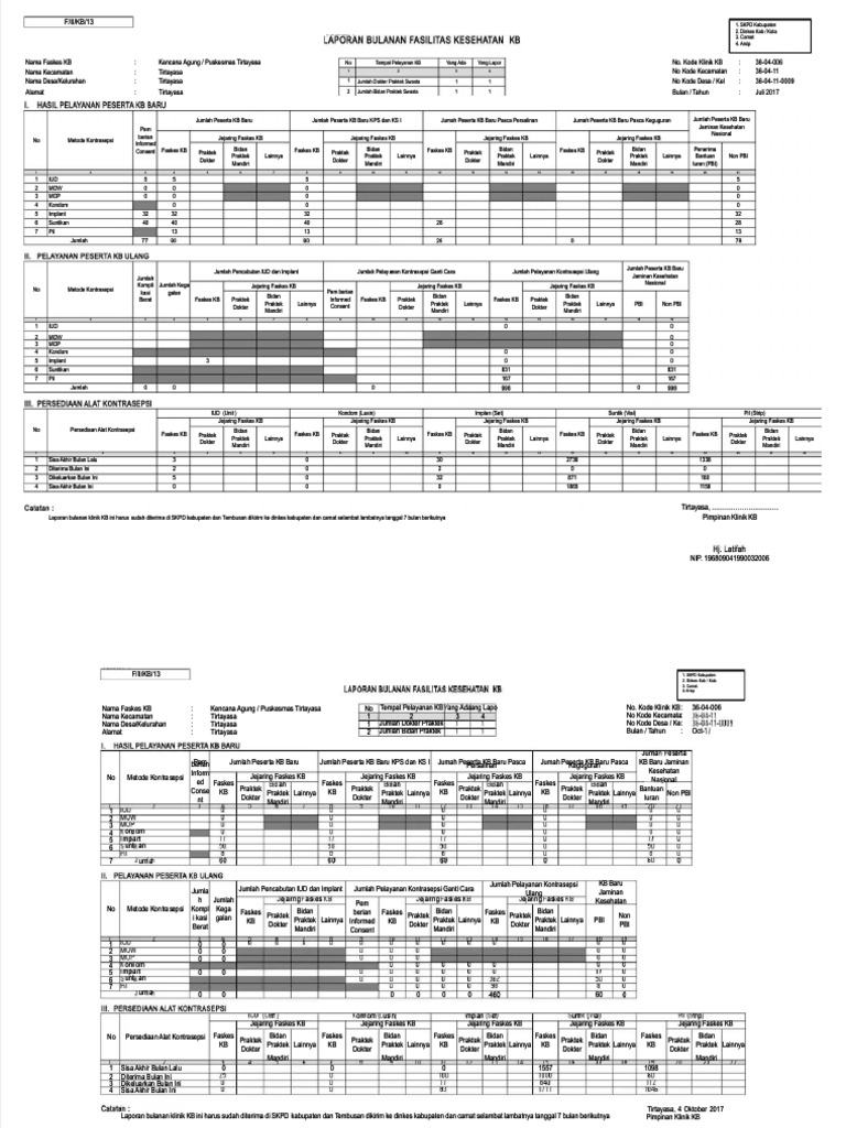 PDF Laporan Bulanan Fasilitas Kesehatan KB | PDF
