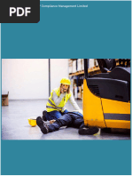 Iso 31000 2018 en Risk Management Guidelines | PDF | Risk ...