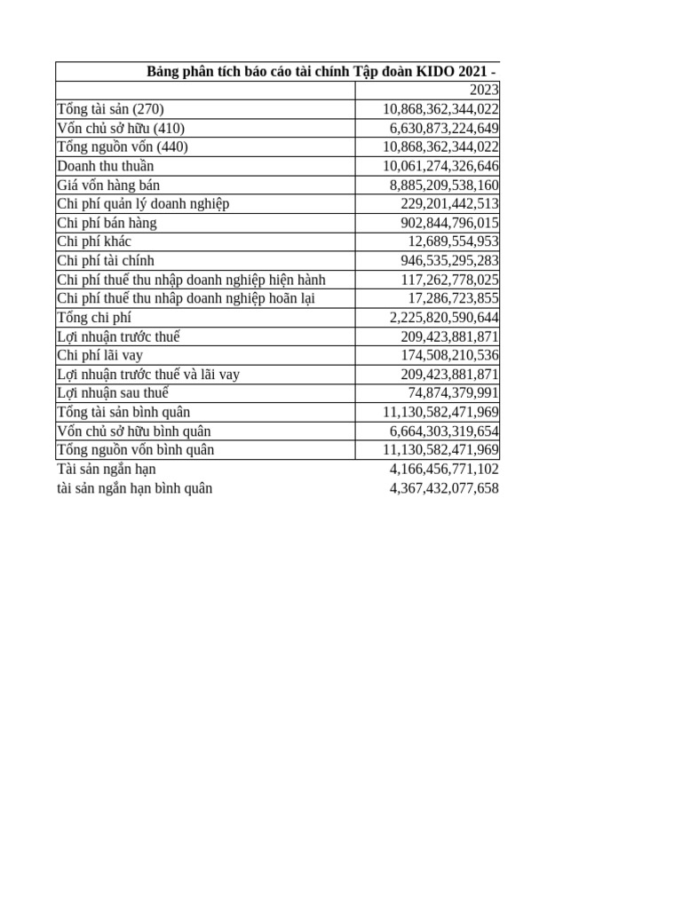 Báo Cáo Phân Tích Tài Chính KIDO | PDF