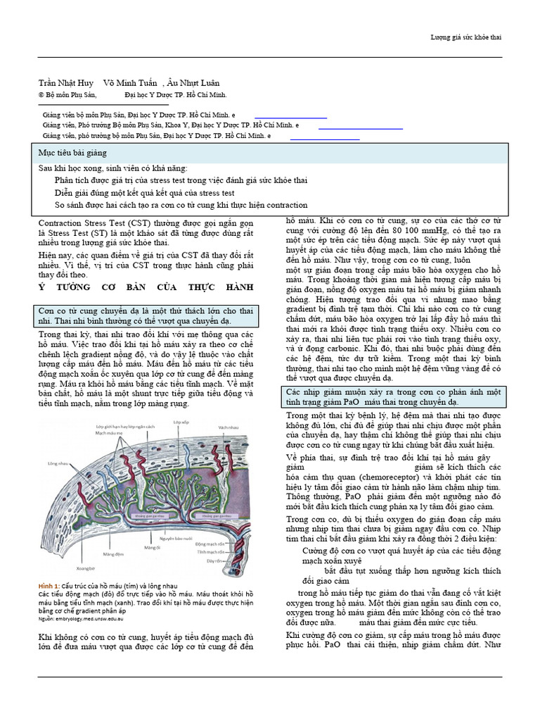 Contraction Stress Test | PDF