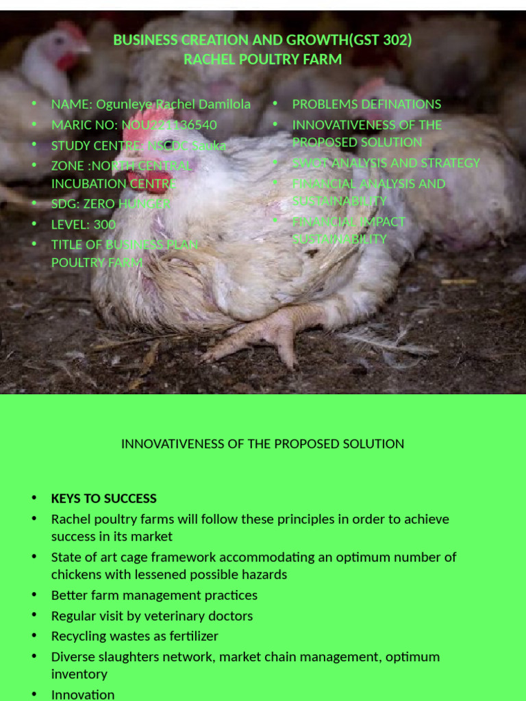 RACHEL Poultry Farm Business Plan | PDF | Poultry | Poultry Farming
