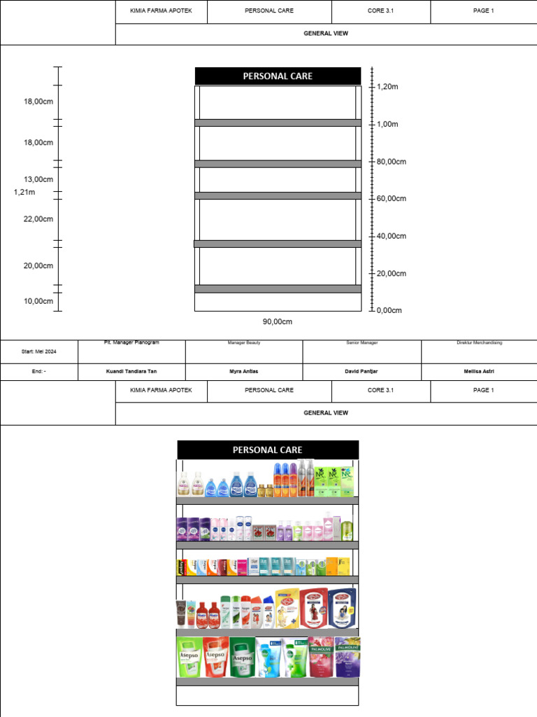 Personal Care Planogram Overview | PDF | Skin | Products Of Chemical Industry
