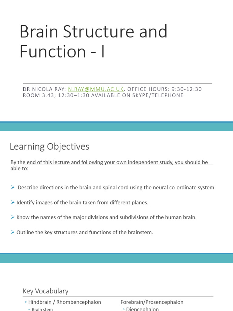 Lec.4 Brain Structure and Function 1 NR1 | PDF | Cerebrum | Central ...