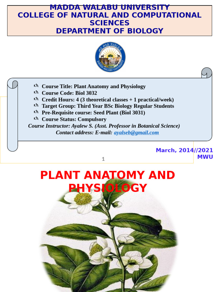 Plant Anatomy and Physiology Class 3-1 | PDF | Plant Stem | Leaf
