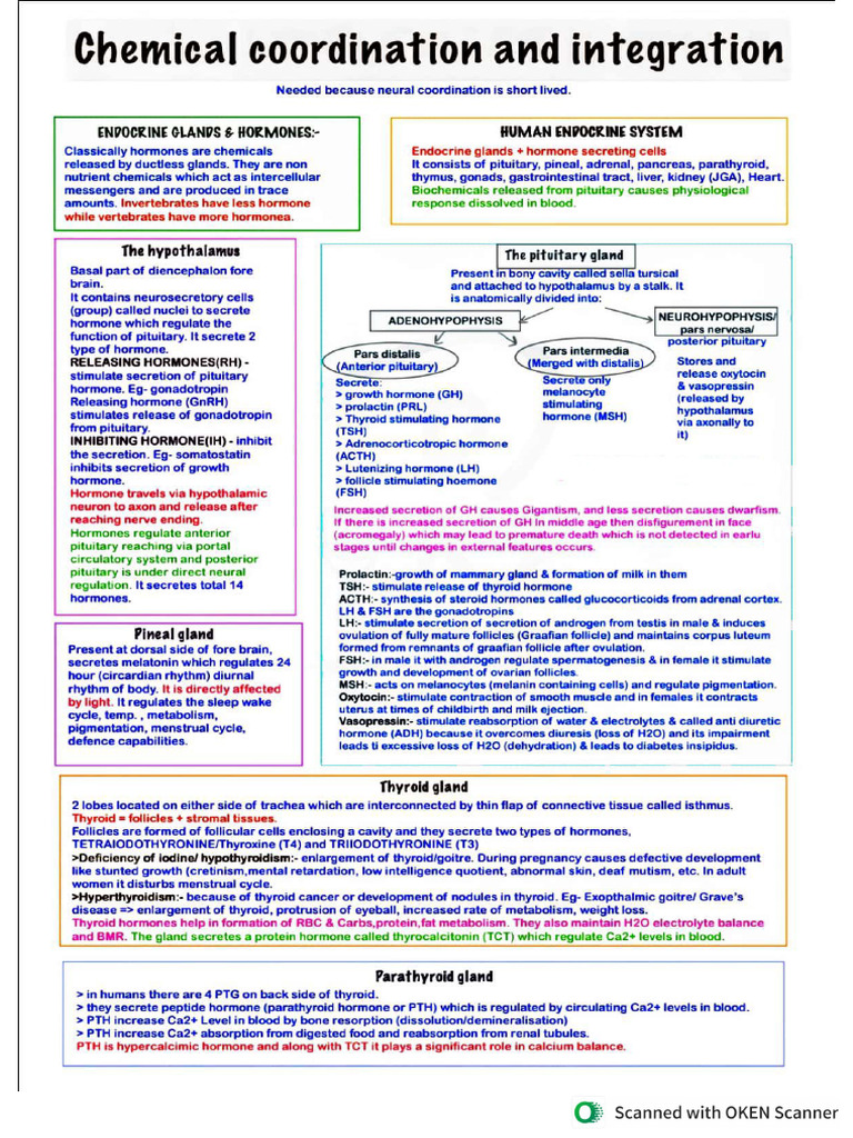 Mind Maps Chemical Coordination & Integration | PDF