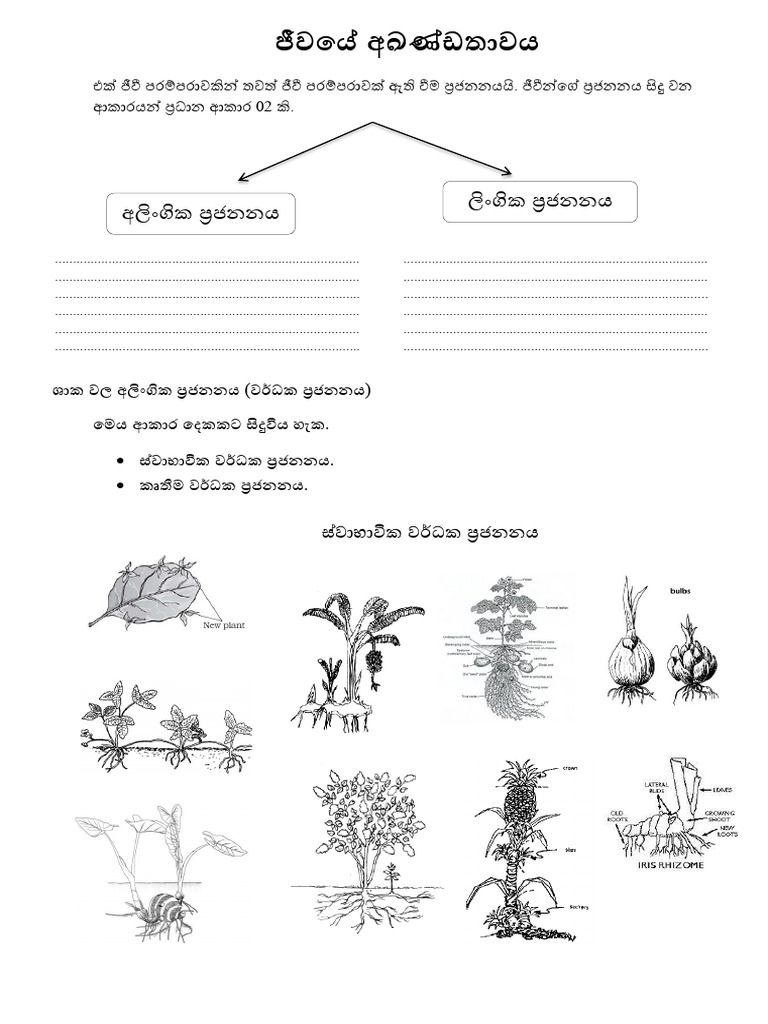 Unit 14 - 2021 - Tute | PDF