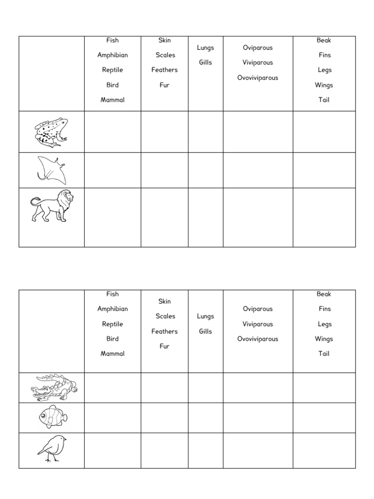 Vertebrates Characteristics Sheet | PDF