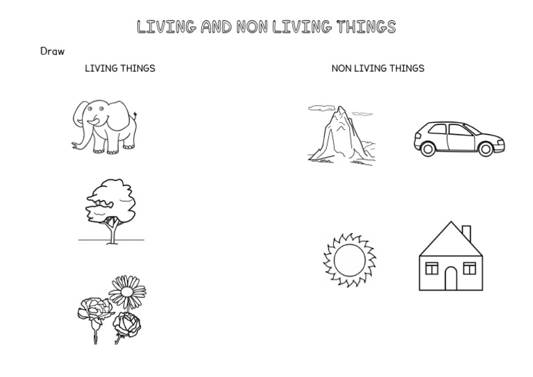 Draw Living and Non Living Things | PDF