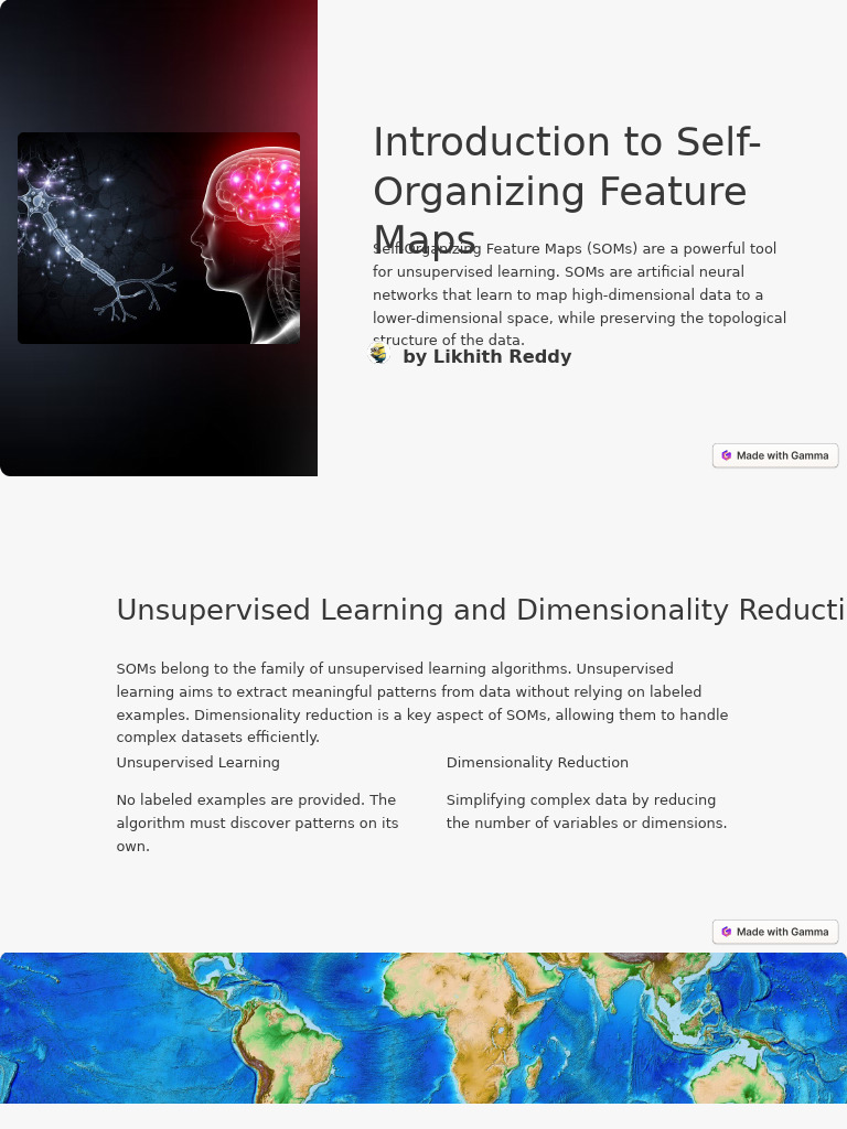 Introduction To Self Organizing Feature Maps | PDF | Applied Mathematics | Artificial Intelligence